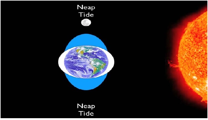 Chapter 5 "Water" NCERT Solutions Class 7 Geography